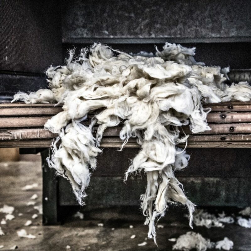Filature cardée – La plateforme française de la laine